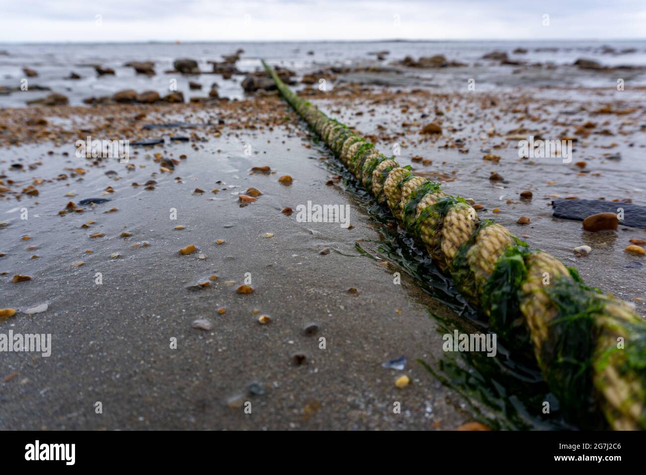 An old rope covered in seaweed stretches out from the shoreline to the ...