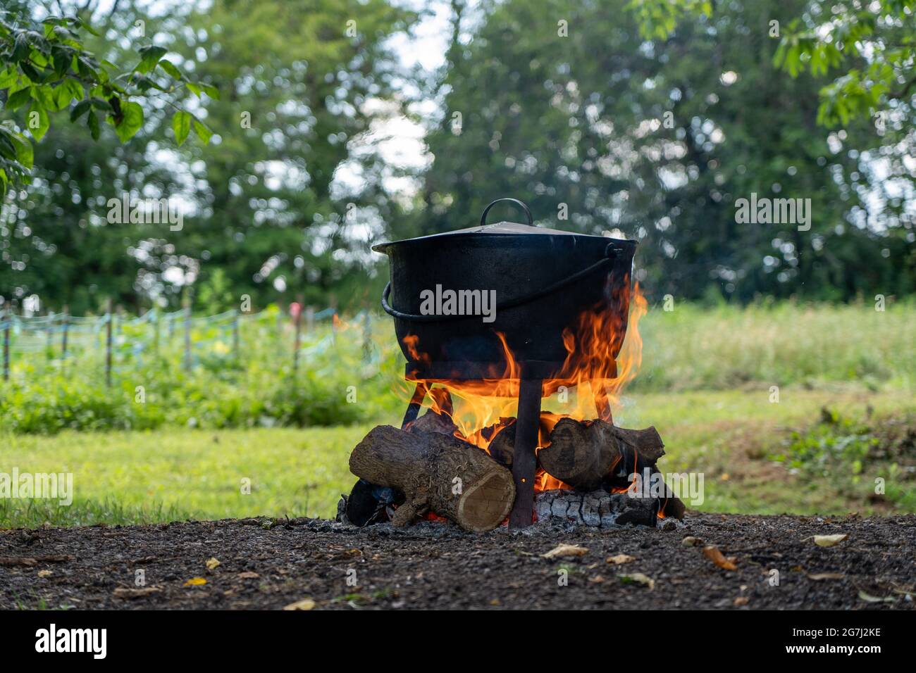 Cast-iron cooking kettle over a wood fire outdoors in the forest Stock ...