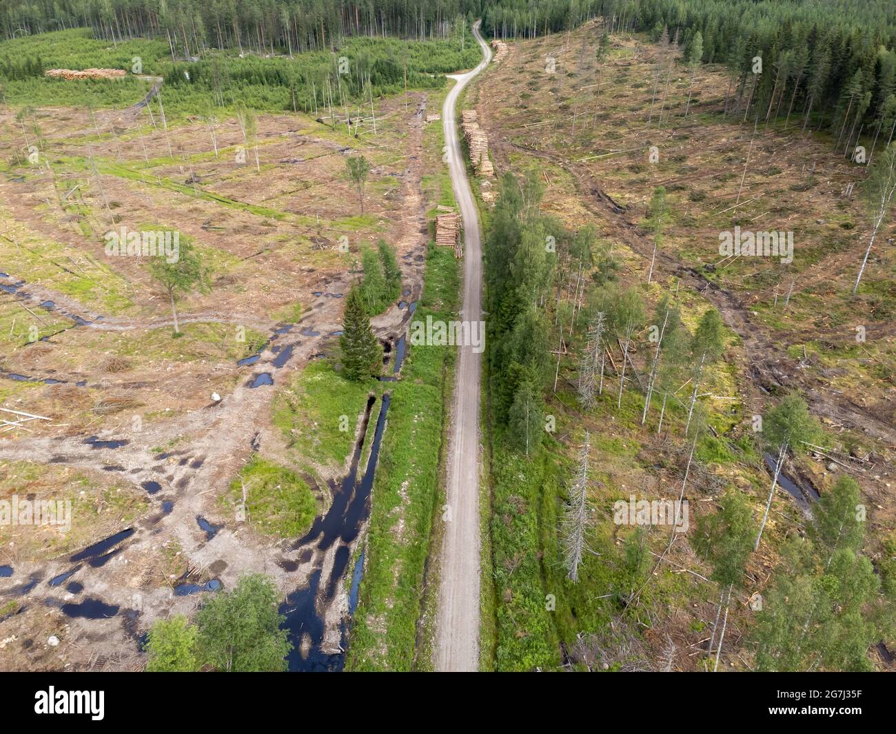 Deforestation, newly cut down forest, clear felled area in Sweden ...