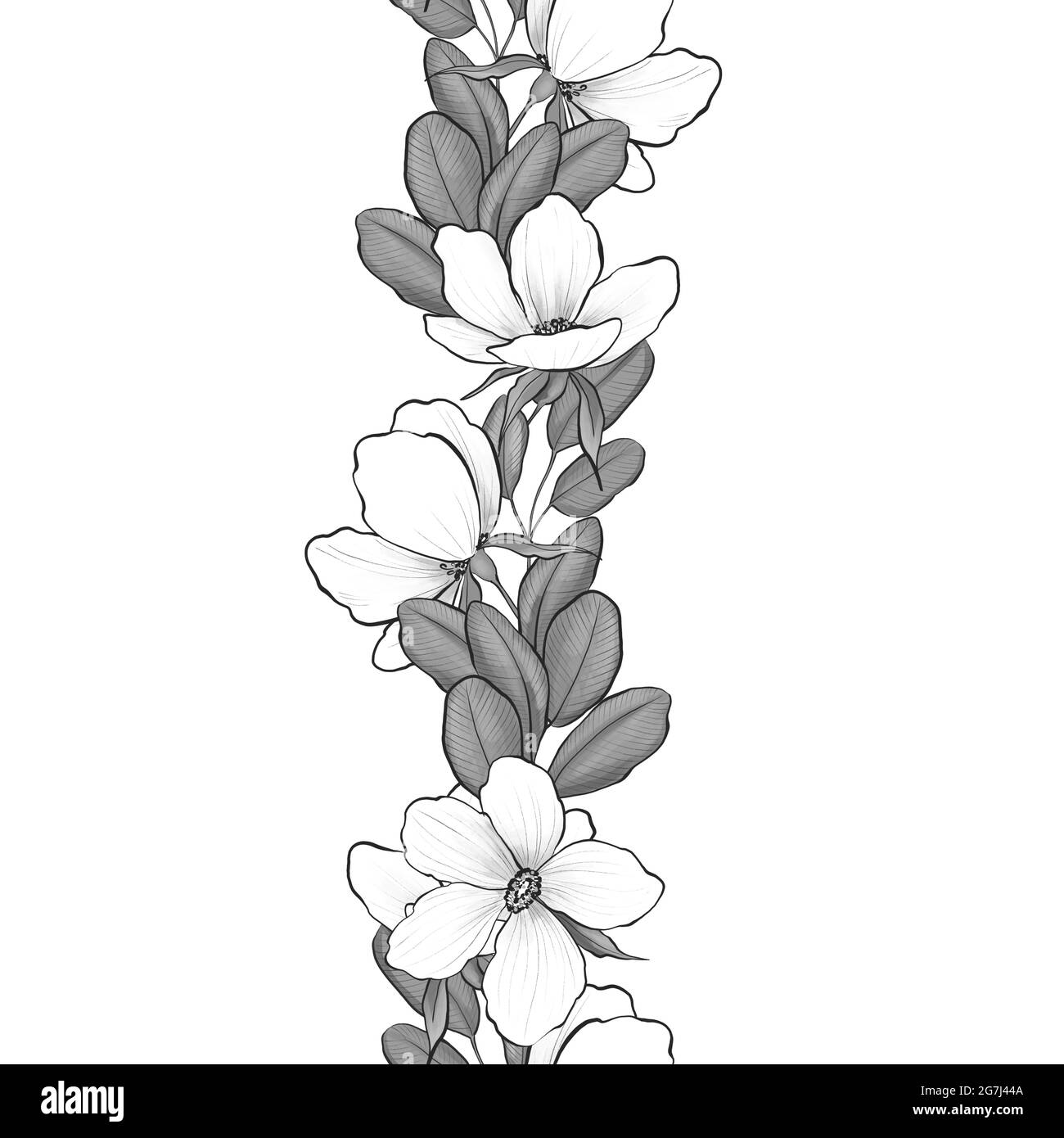 Spring Flowers Clip Art Black And White Borders