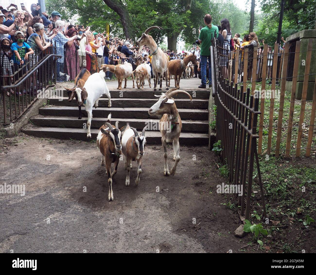 Chomp bits hi-res stock photography and images - Alamy