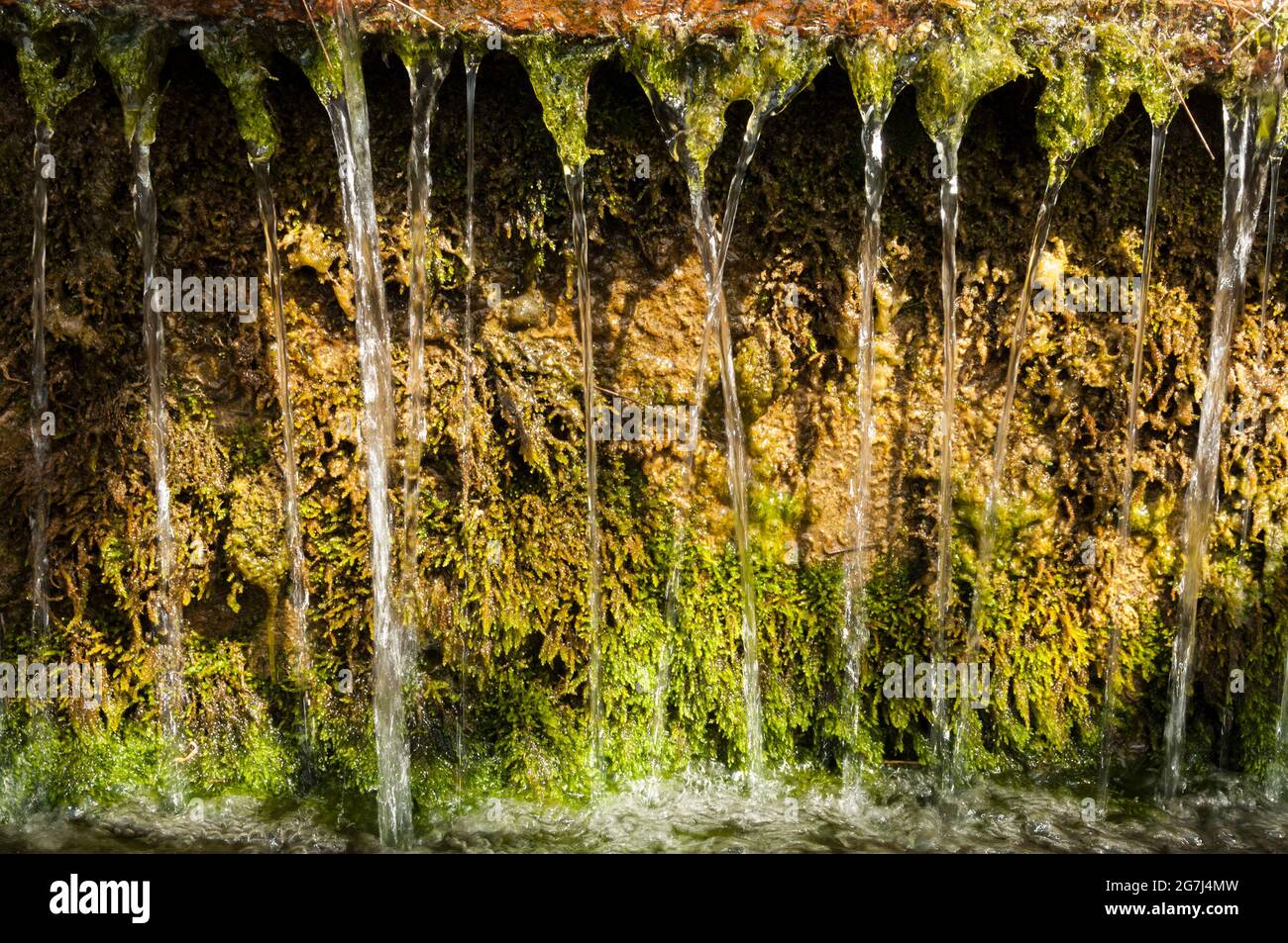 Small mountain spring flowing from the rocks. Drinking water is a vital ...