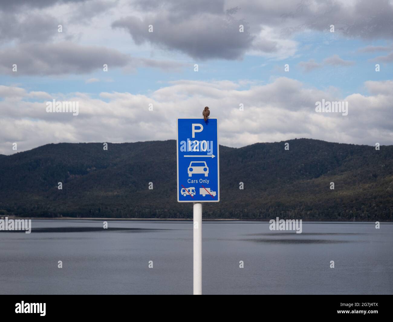 Cars only sign hi-res stock photography and images - Alamy