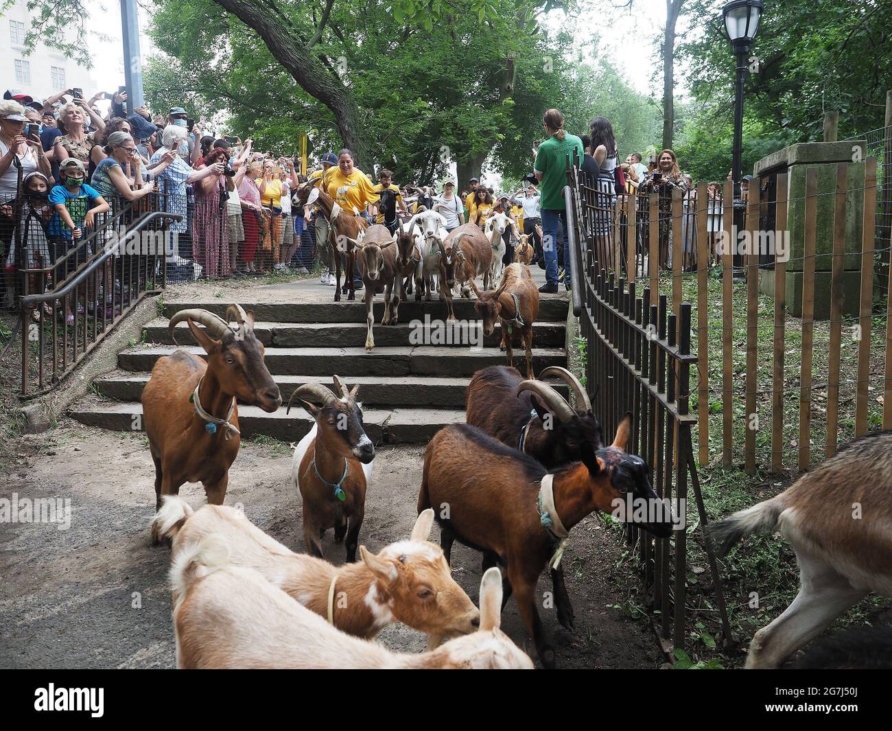 Chomp bits hi-res stock photography and images - Alamy