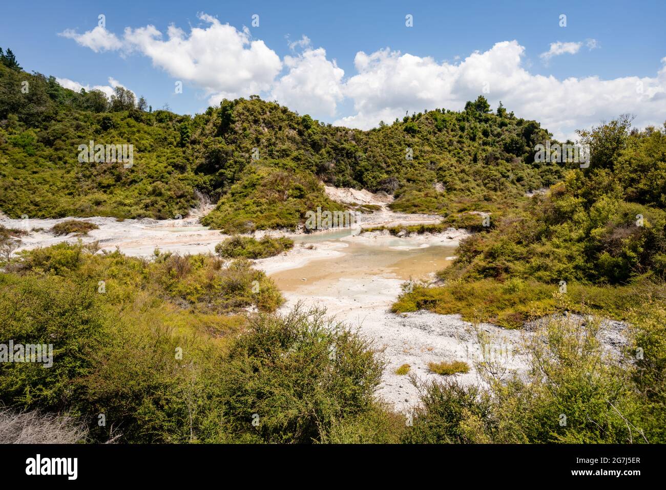Forested mountains on the coast of a sea in New Zealand Stock Photo - Alamy