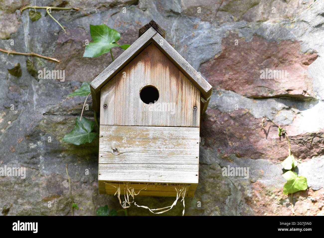 Bird box and feeder hi-res stock photography and images - Alamy