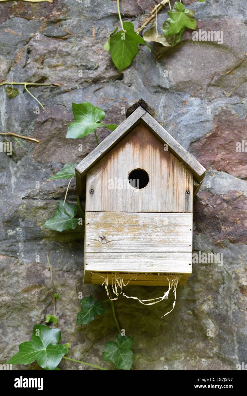 Bird box and feeder hi-res stock photography and images - Alamy