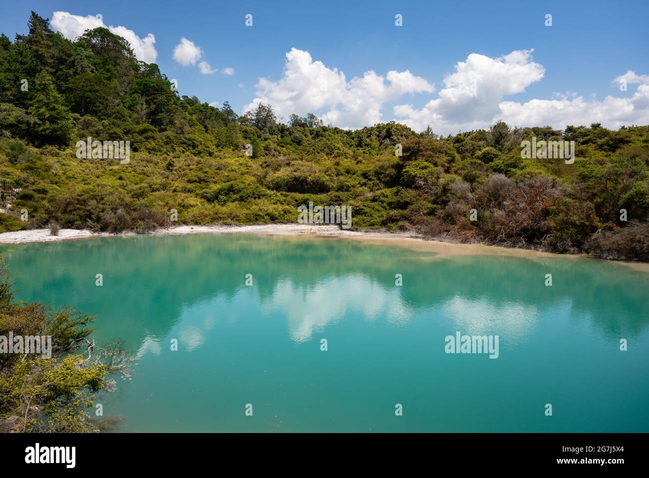 Calm lake surrounded by forested mountains in New Zealand Stock Photo ...