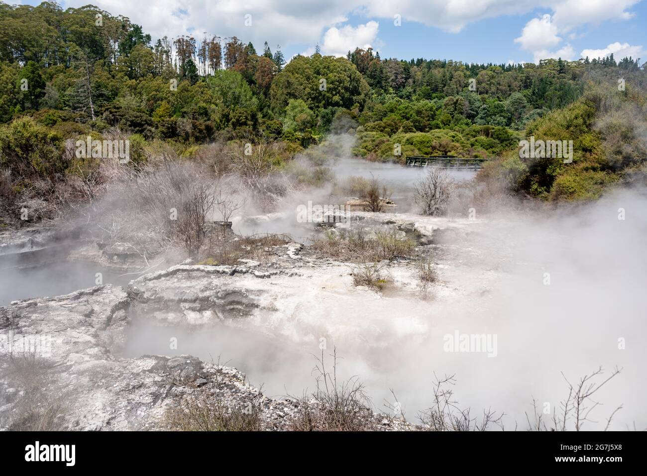 Geysers in new zealand hi-res stock photography and images - Alamy