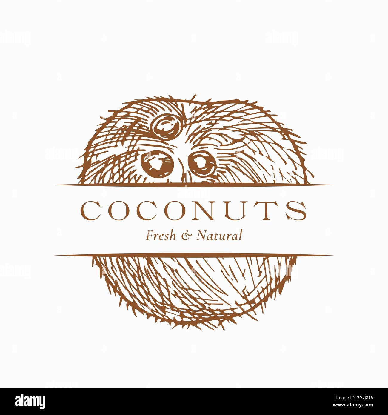 Fresh Coconut Organic Fruit Abstract Vector Sign, Symbol or Logo ...