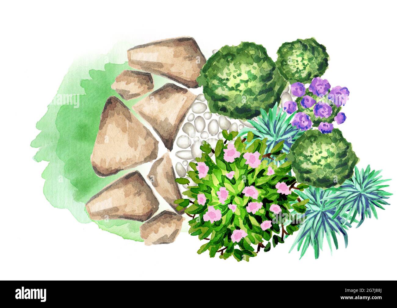 Garden flowers. Element of landscape design. Watercolor Stock Photo - Alamy