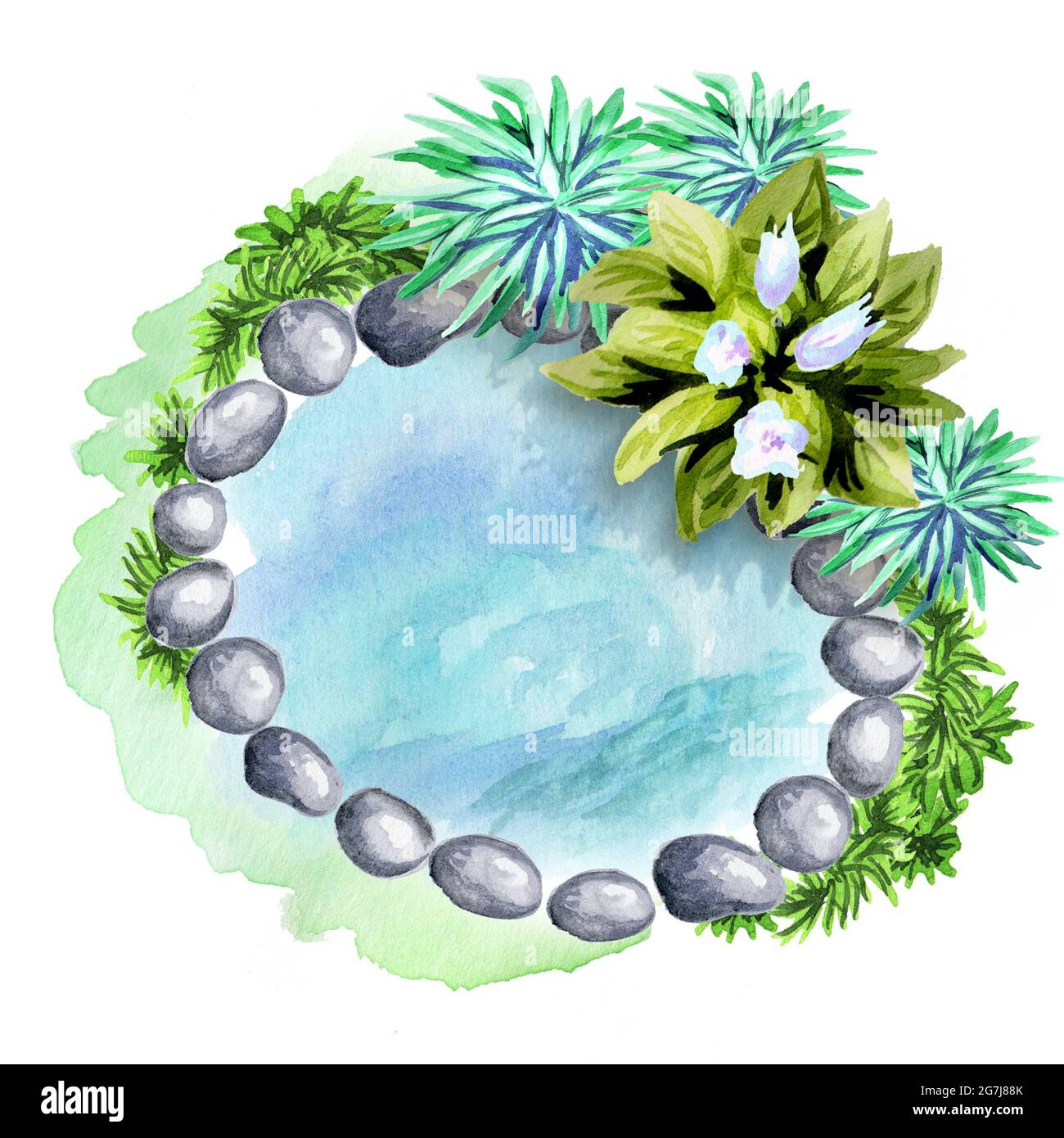 Ornamental pond and garden plants. Element of landscape design ...