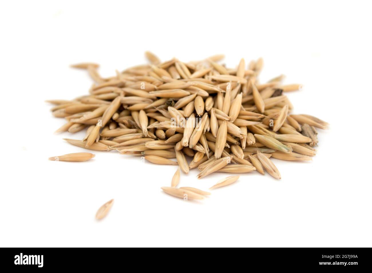handful of dry oats on white isolated background Stock Photo - Alamy