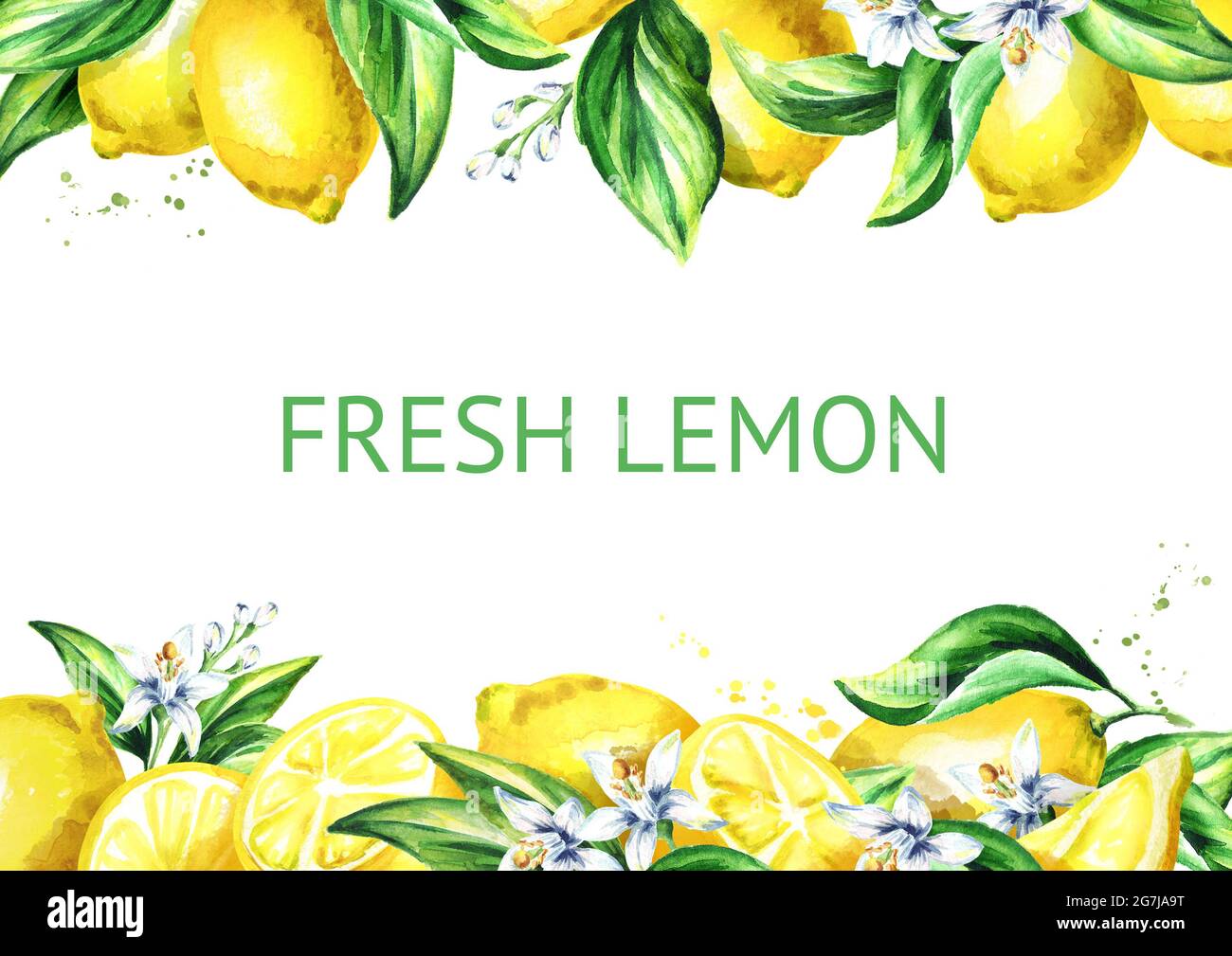 Fresh lemon horizontal background. Watercolor hand drawn illustration ...