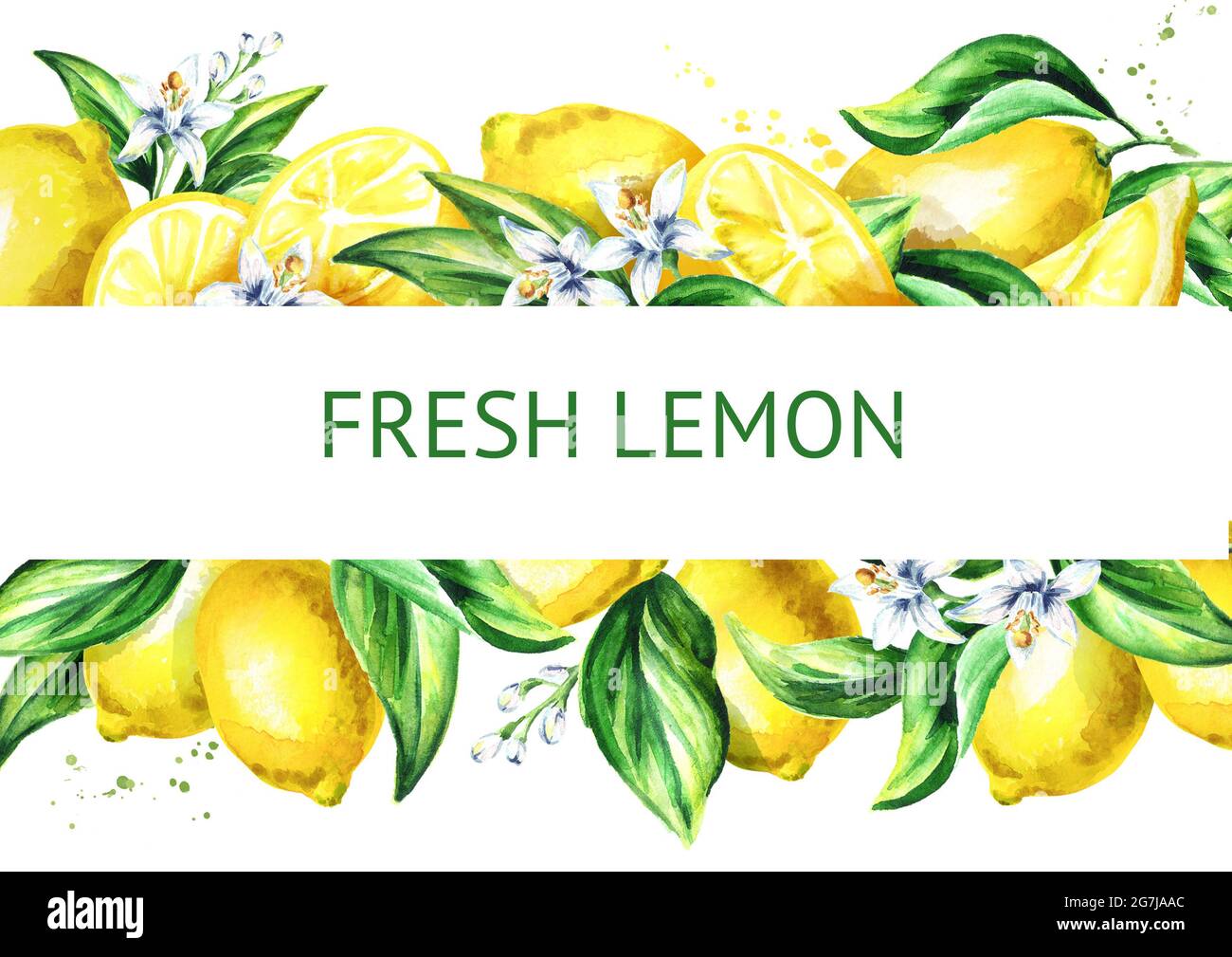 Fresh lemon horizontal illusrtation. Watercolor hand drawn background ...