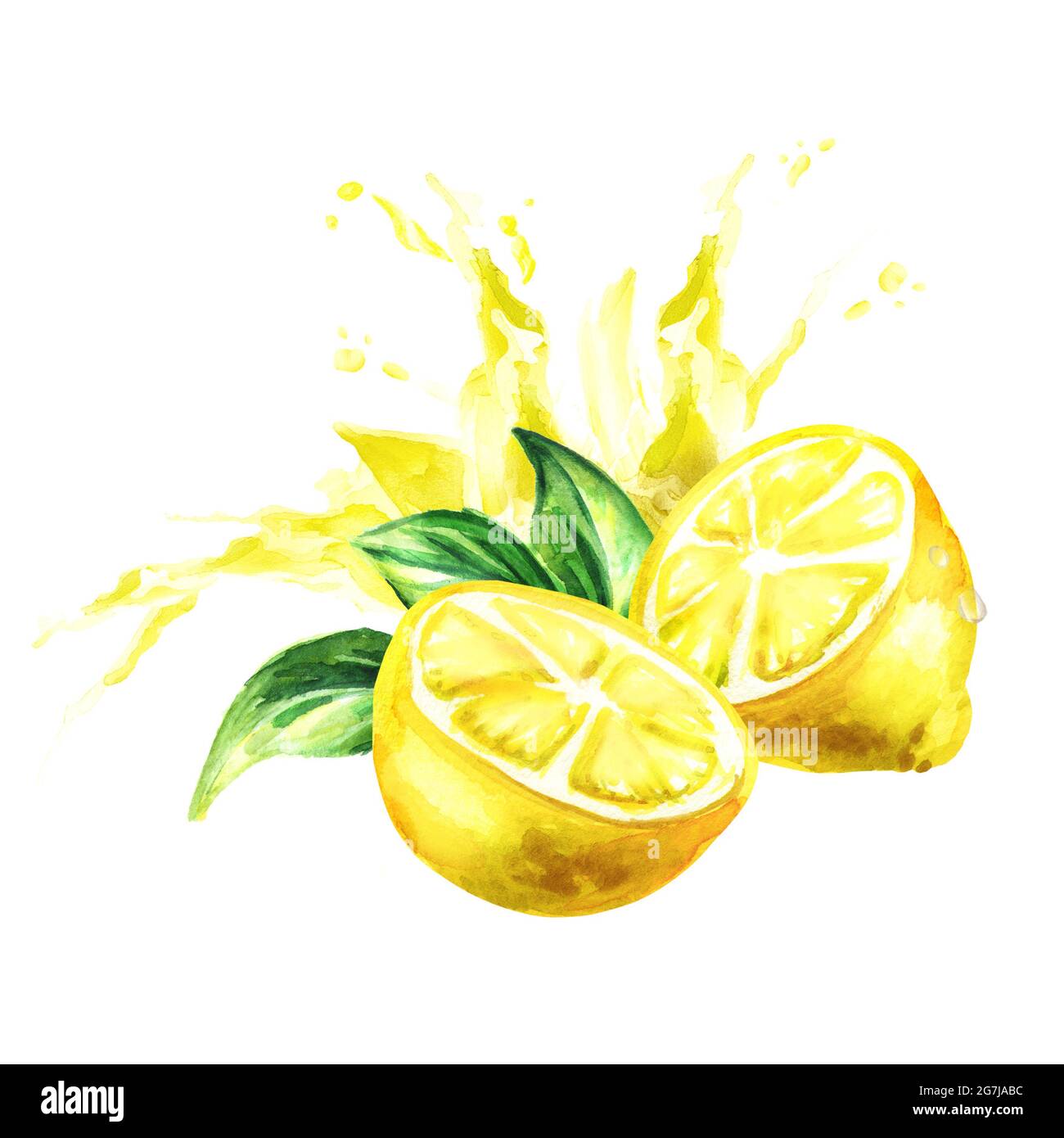Lemon juice splash. Watercolor hand drawn illustration Stock Photo - Alamy