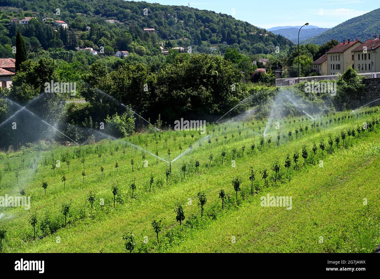 automatic watering system in south of France Stock Photo - Alamy