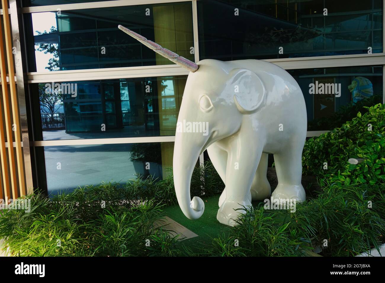Uni-Elephant - a elephant with one horn Stock Photo - Alamy