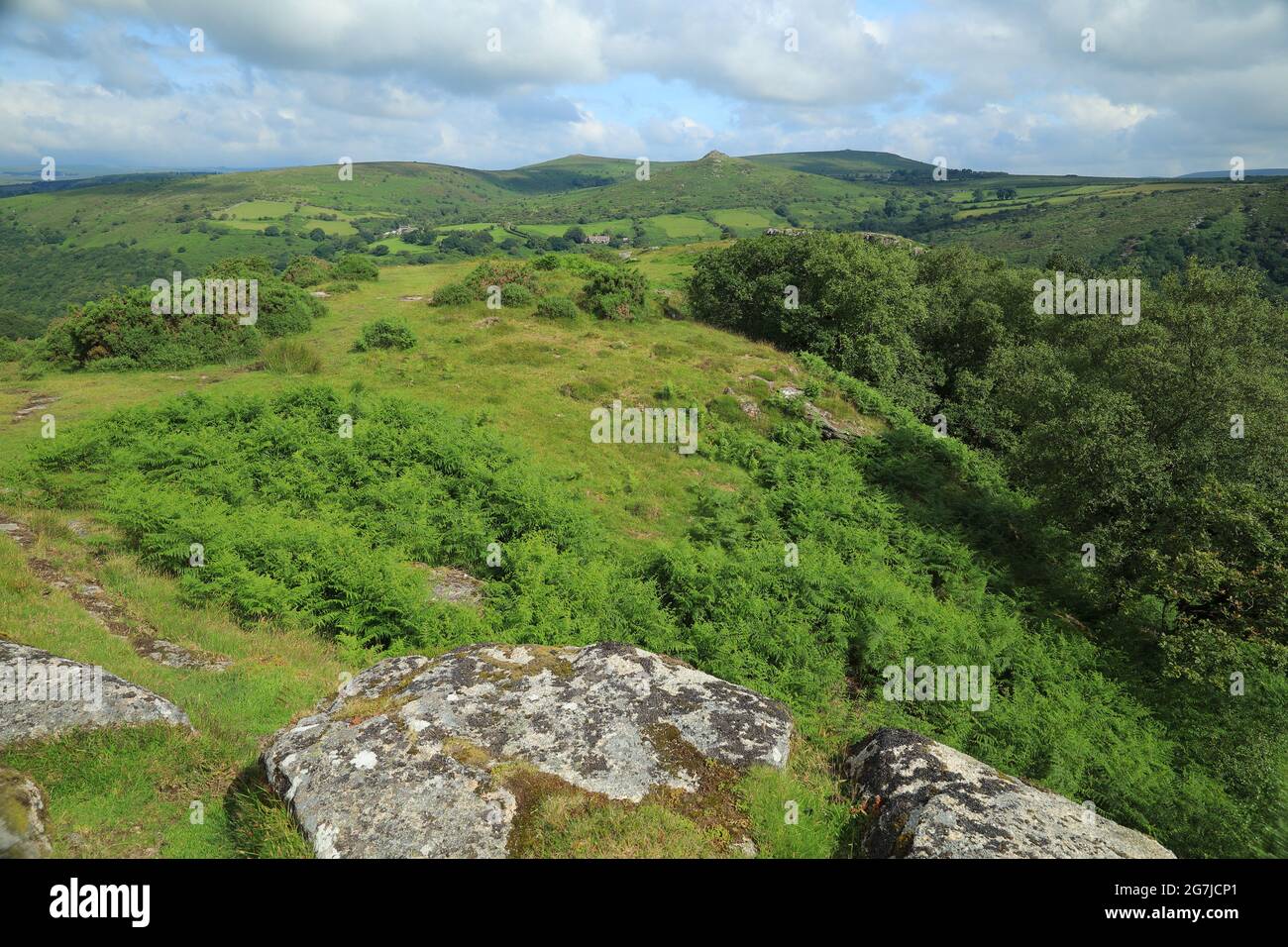 Summer view Bench tor towards Sharp tor, Dartmoor National Park, Devon ...