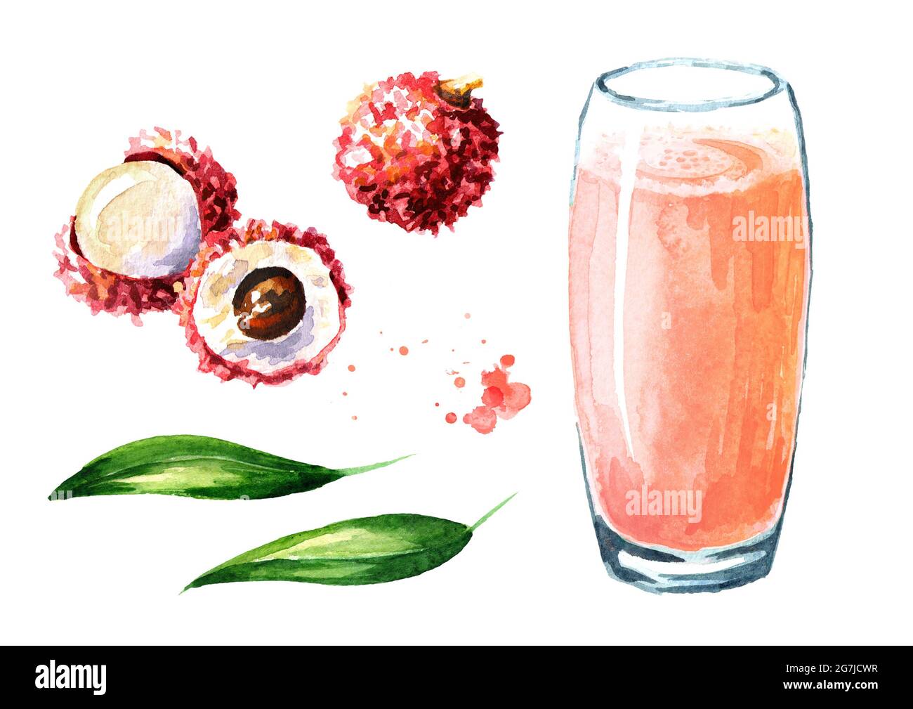 Lychee juice elements set. Watercolor hand drawn illustration isolated ...
