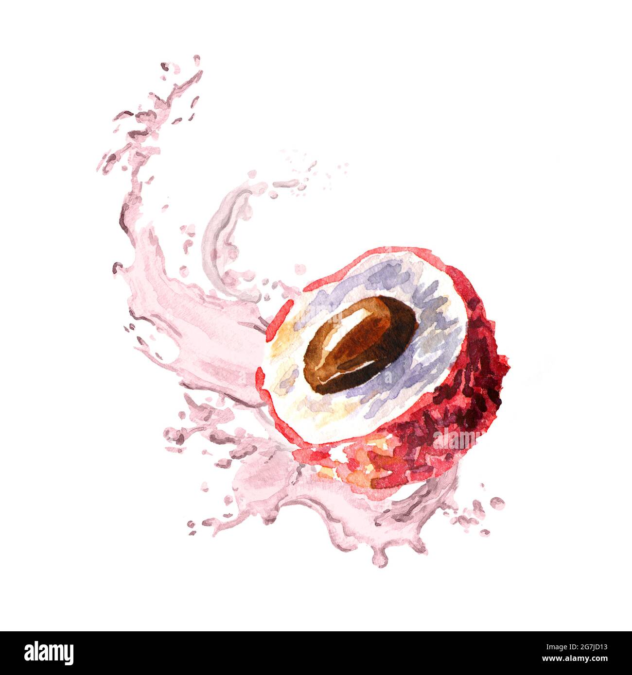 Splash of lychee juice. Watercolor hand drawn illustration, isolated on ...