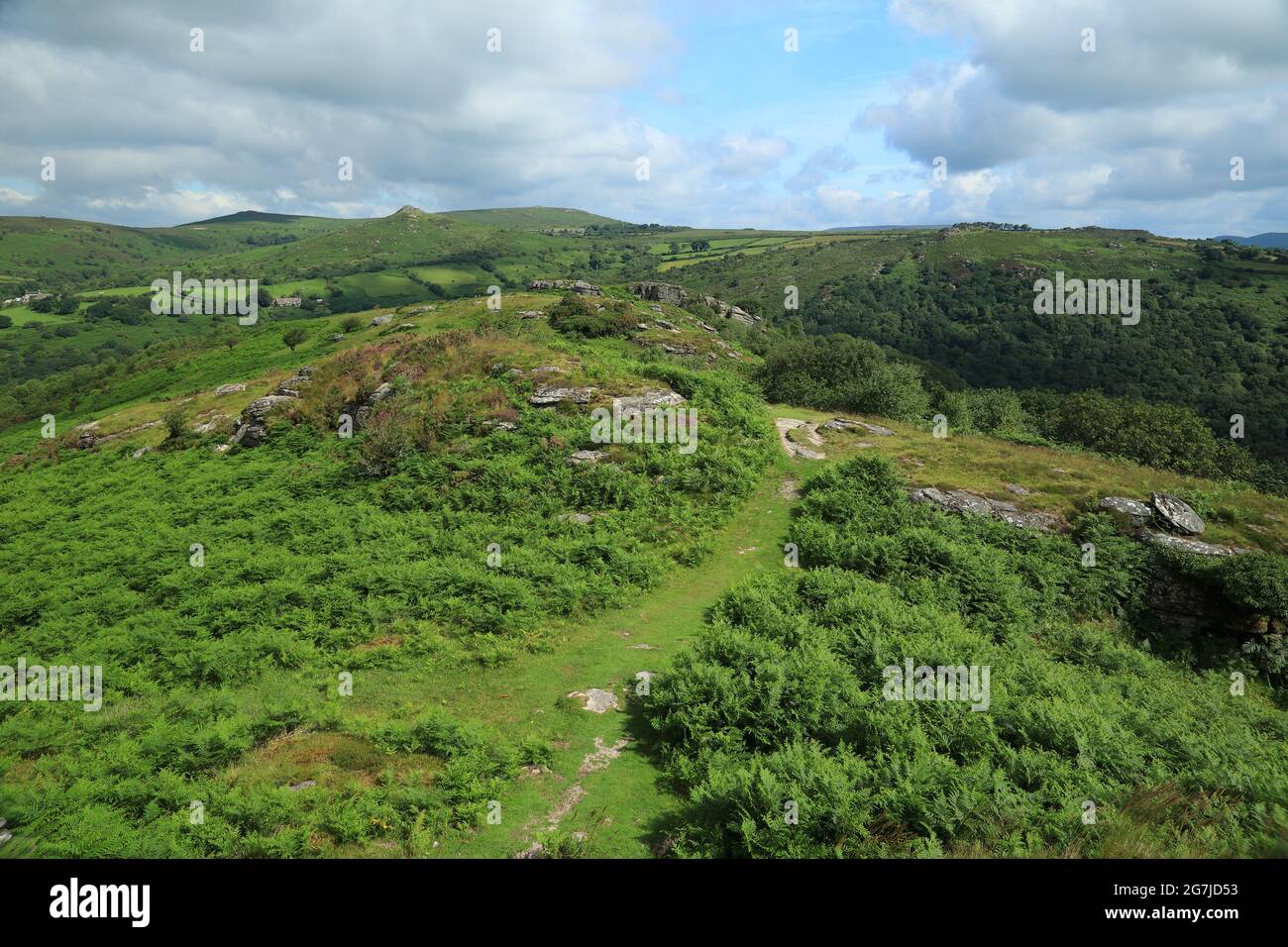 Summer view Bench tor towards Sharp tor, Dartmoor National Park, Devon ...