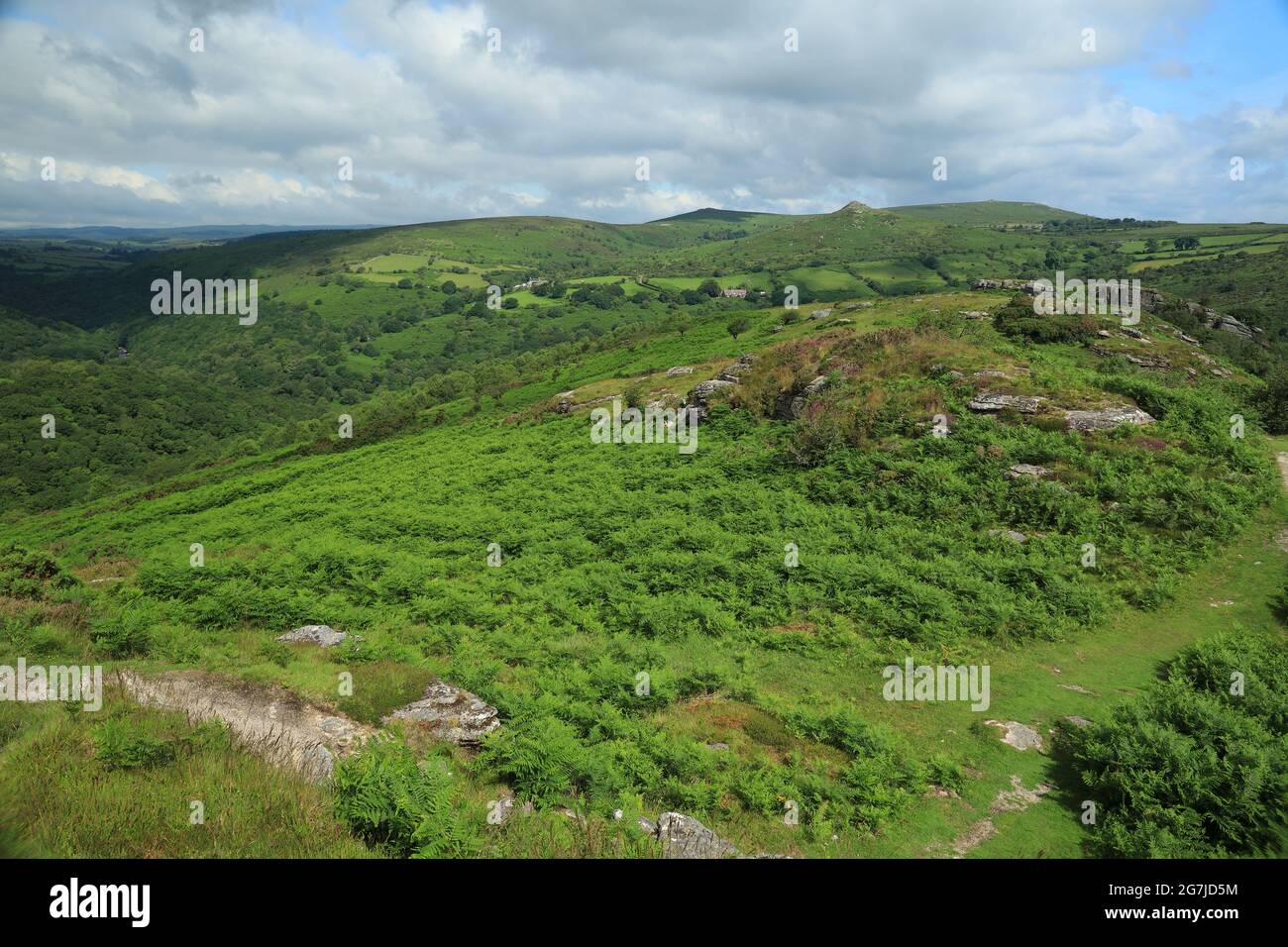 Summer view Bench tor towards Sharp tor, Dartmoor National Park, Devon ...