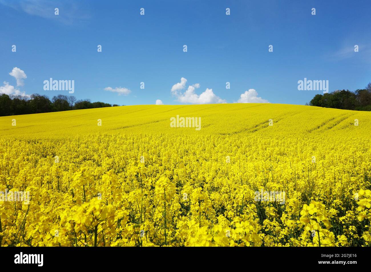 Plain picture hi-res stock photography and images - Alamy