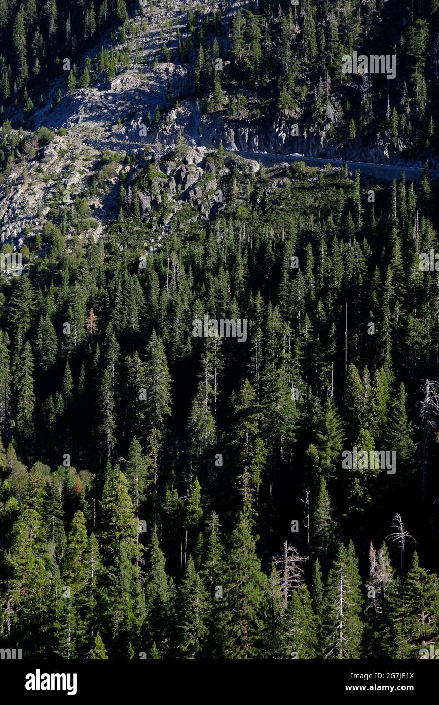 Tahoe forest hi-res stock photography and images - Alamy