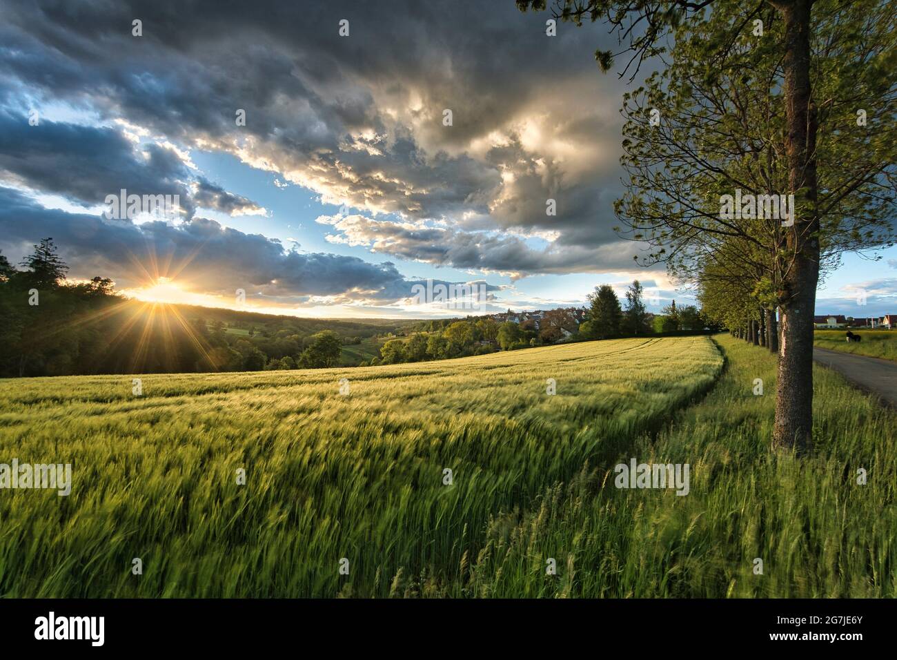 Plain picture, background hi-res stock photography and images - Alamy