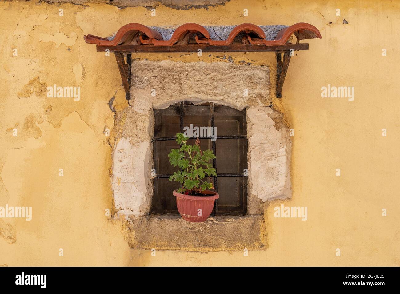 Beautiful flower canopy hi-res stock photography and images - Alamy