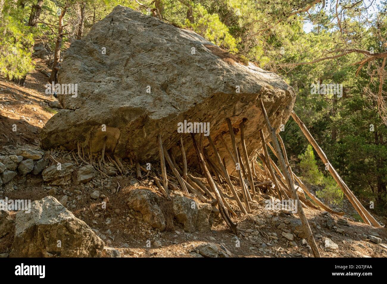 Stone supported by branches on the slope Stock Photo - Alamy