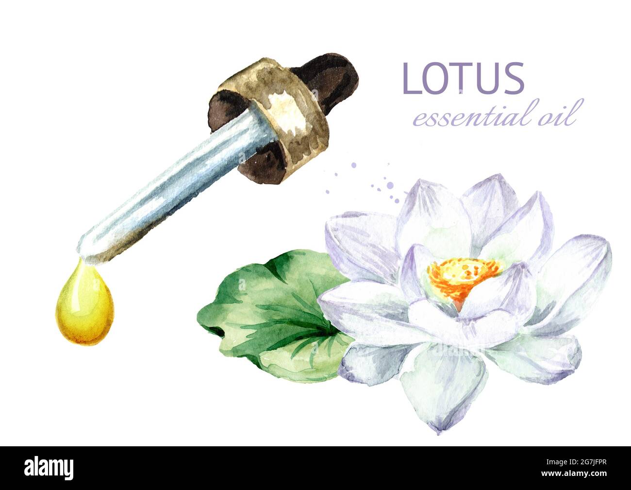 White Lotus flower and essential oil drop. Spa and aromatherapy concept ...