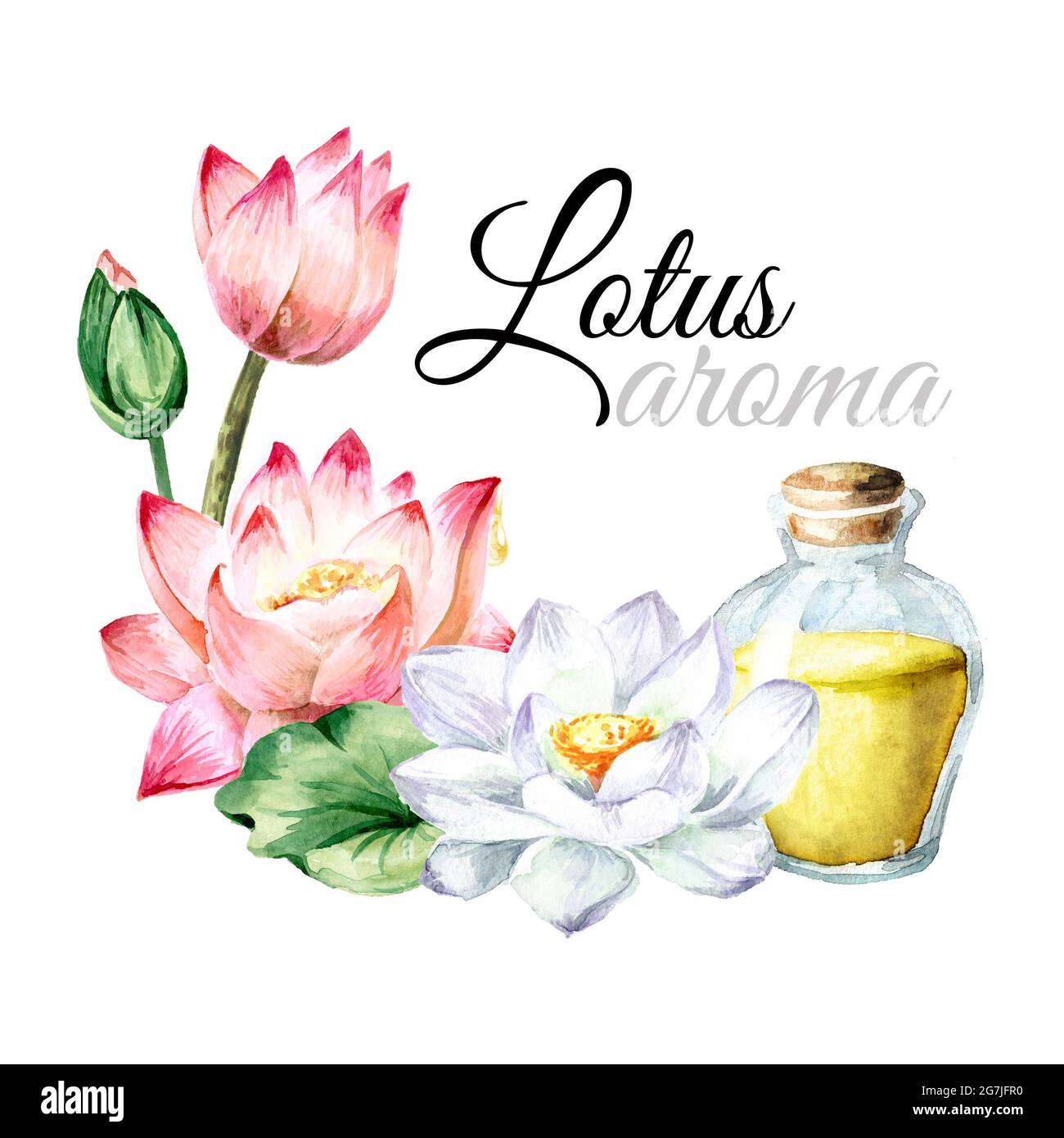Lotus aroma card. Spa and aromatherapy concept. Hand drawn watercolor ...