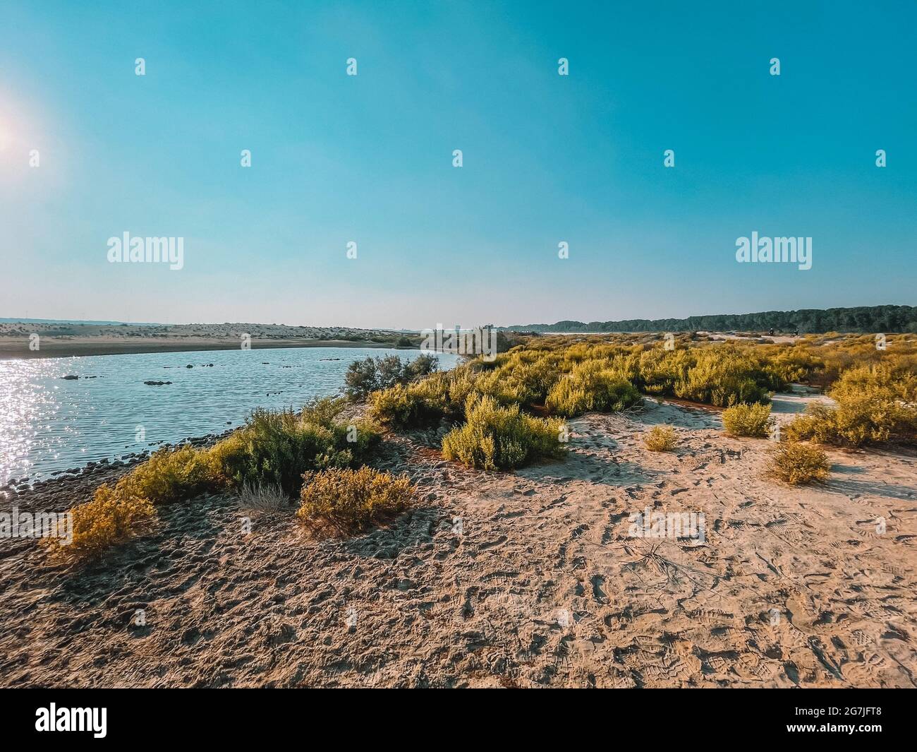 Dessert wild plants and nature | Spectacular Landscape View at Al ...