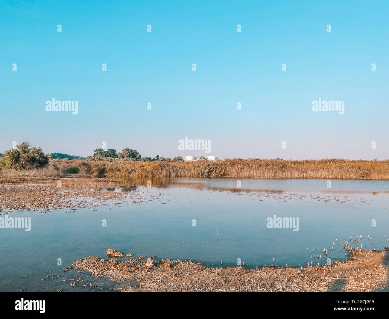 Dessert wild plants and nature | Spectacular Landscape View at Al ...