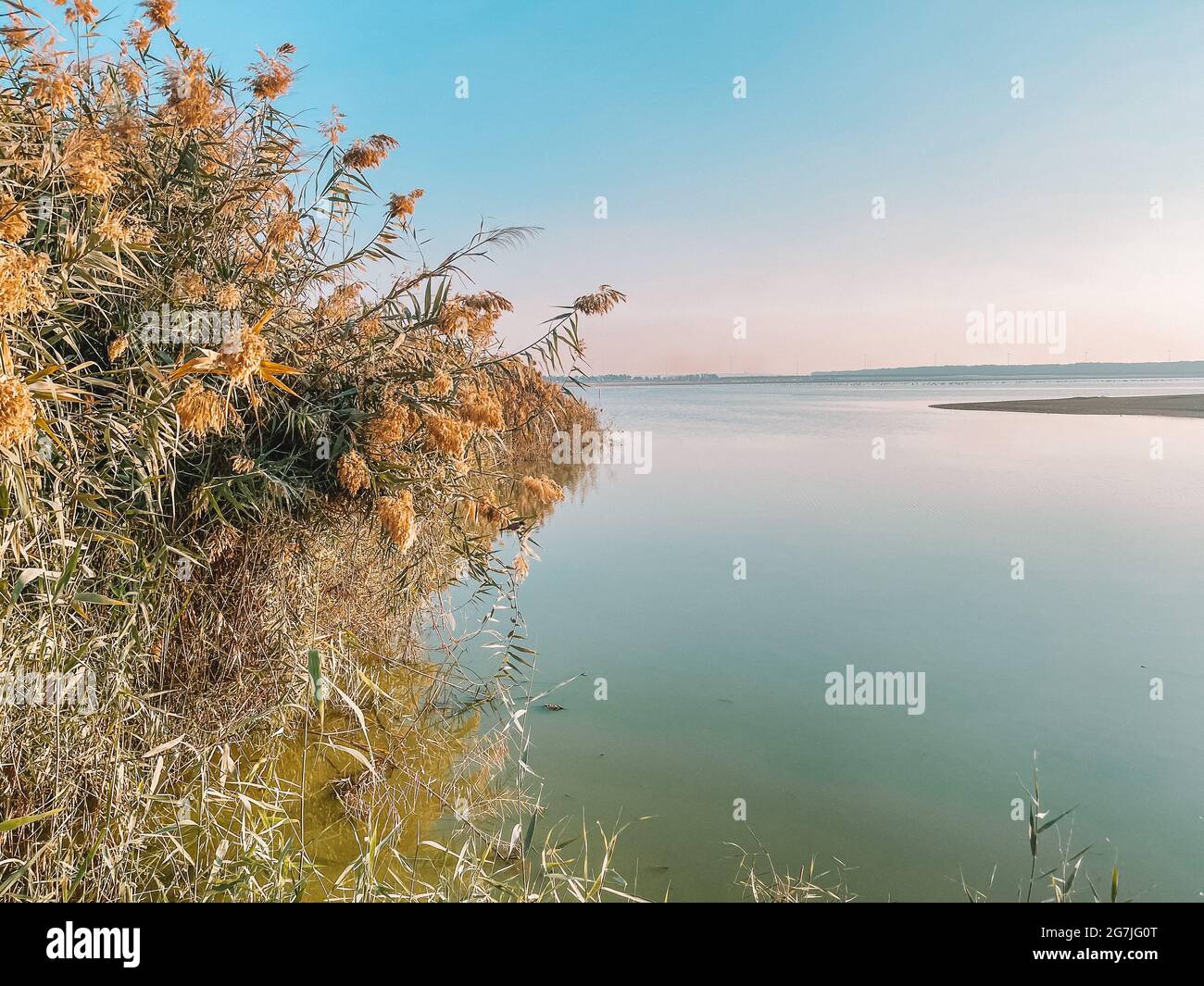 Dessert wild plants and nature | Spectacular Landscape View at Al ...