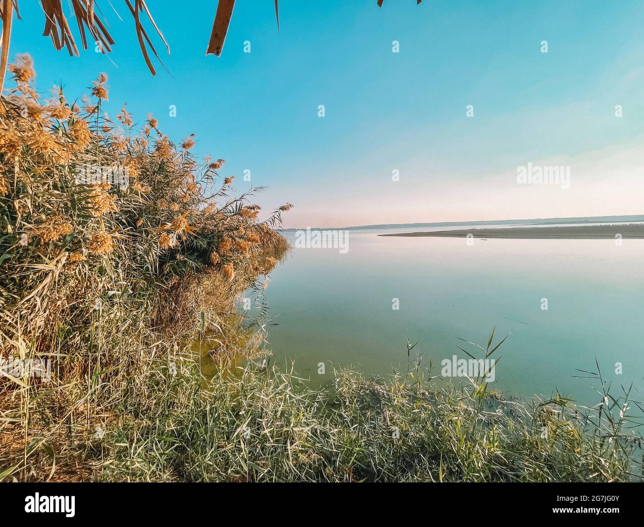 Dessert wild plants and nature | Spectacular Landscape View at Al ...