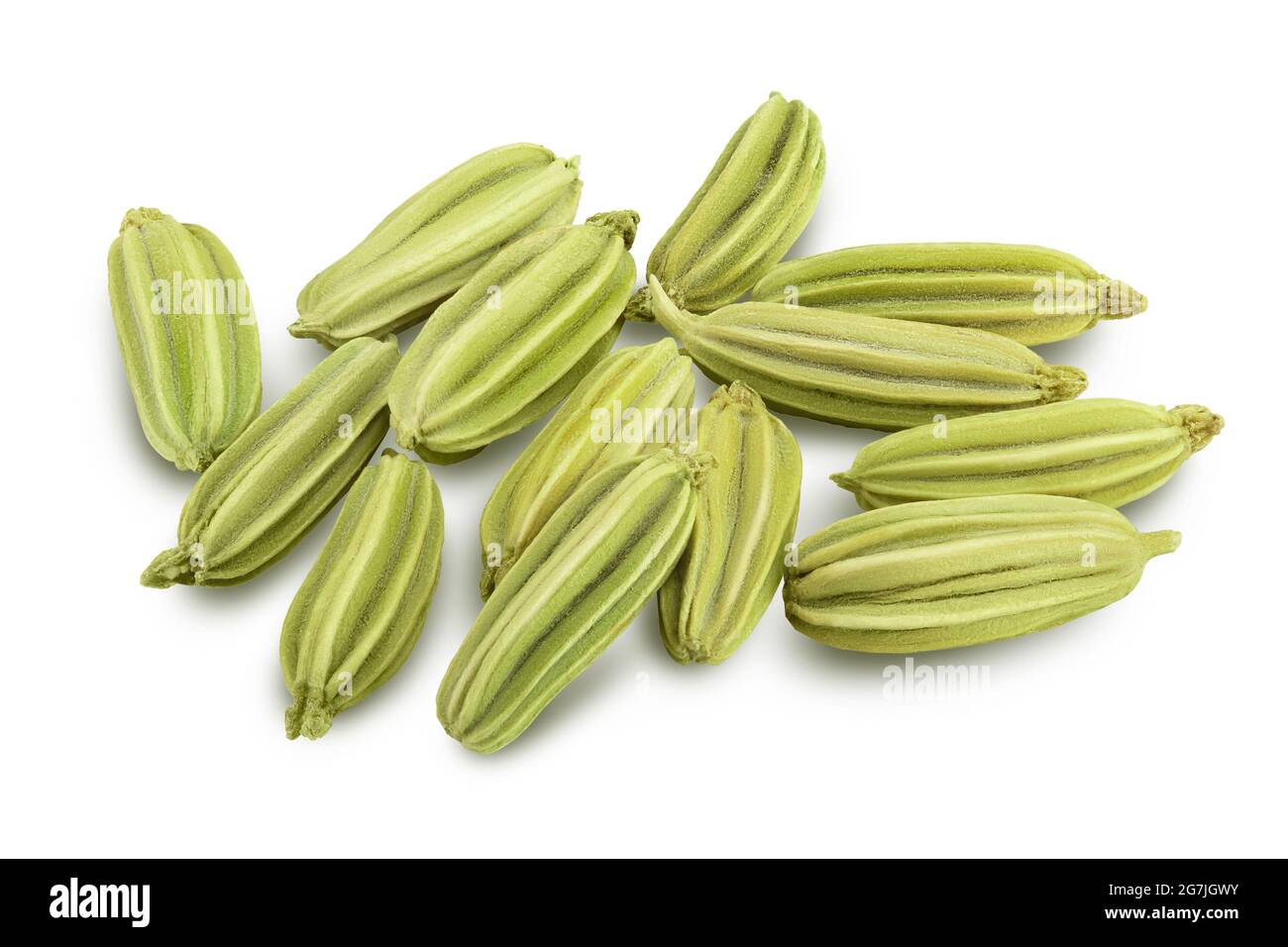 Dried fennel seeds isolated on white background with clipping path and ...