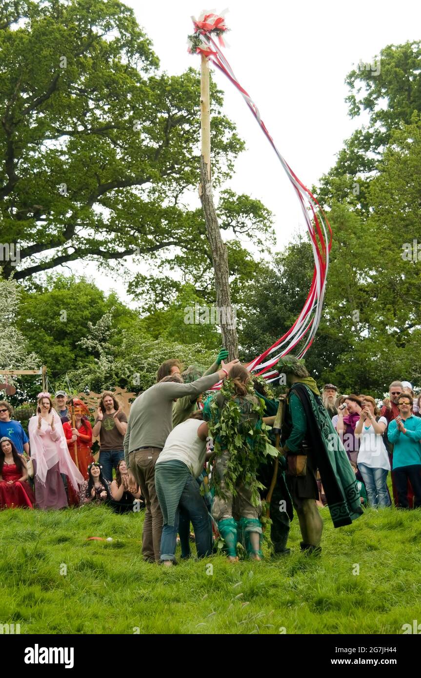 Revellers Dressed In Costume Erect A Maypole In A Field At The ...