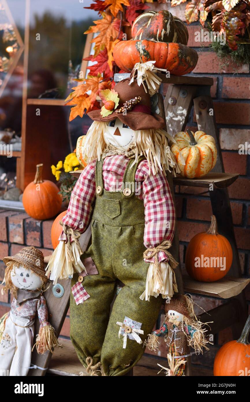 Small scarecrows hi-res stock photography and images - Alamy