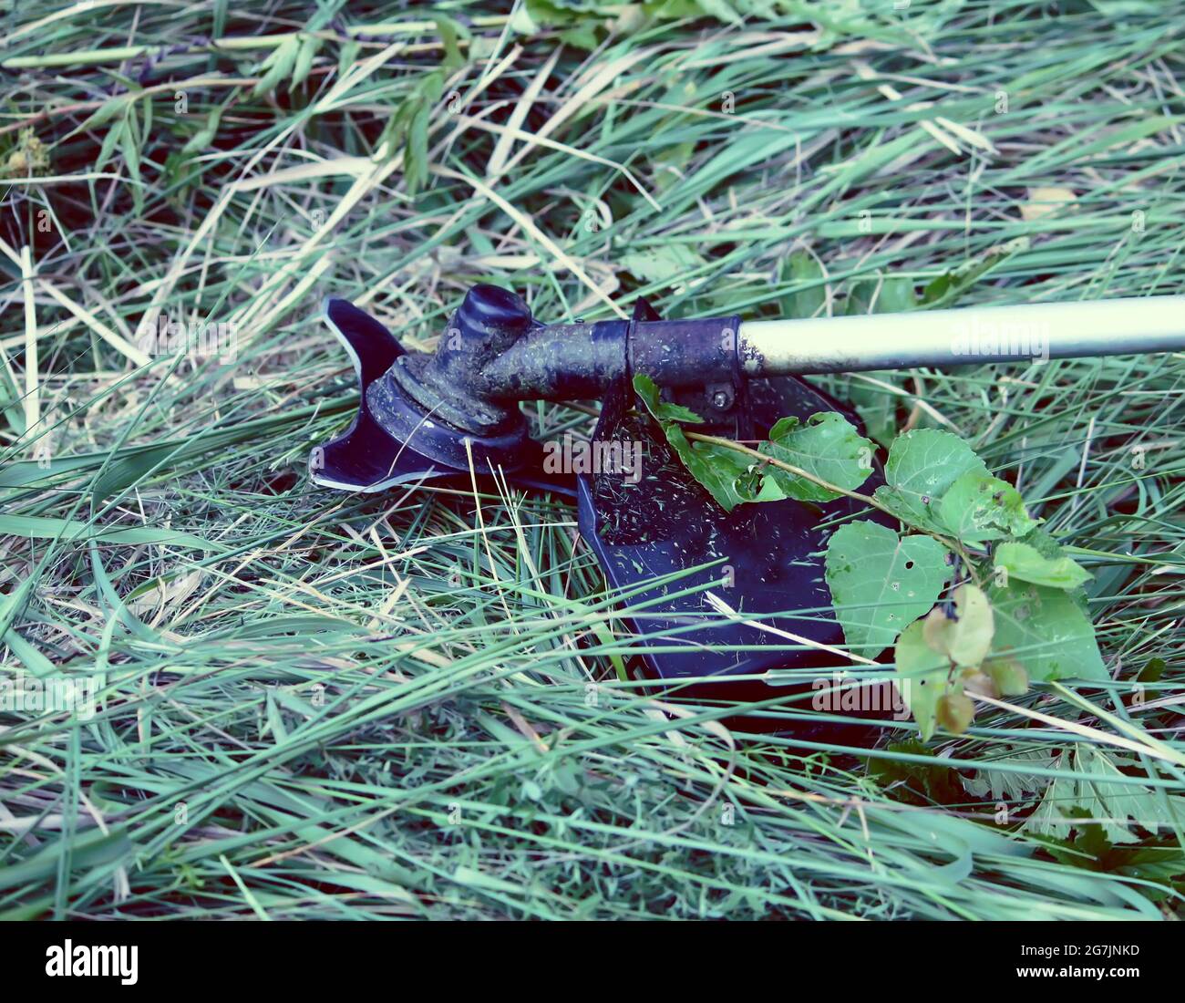 Trimming process hi-res stock photography and images - Alamy