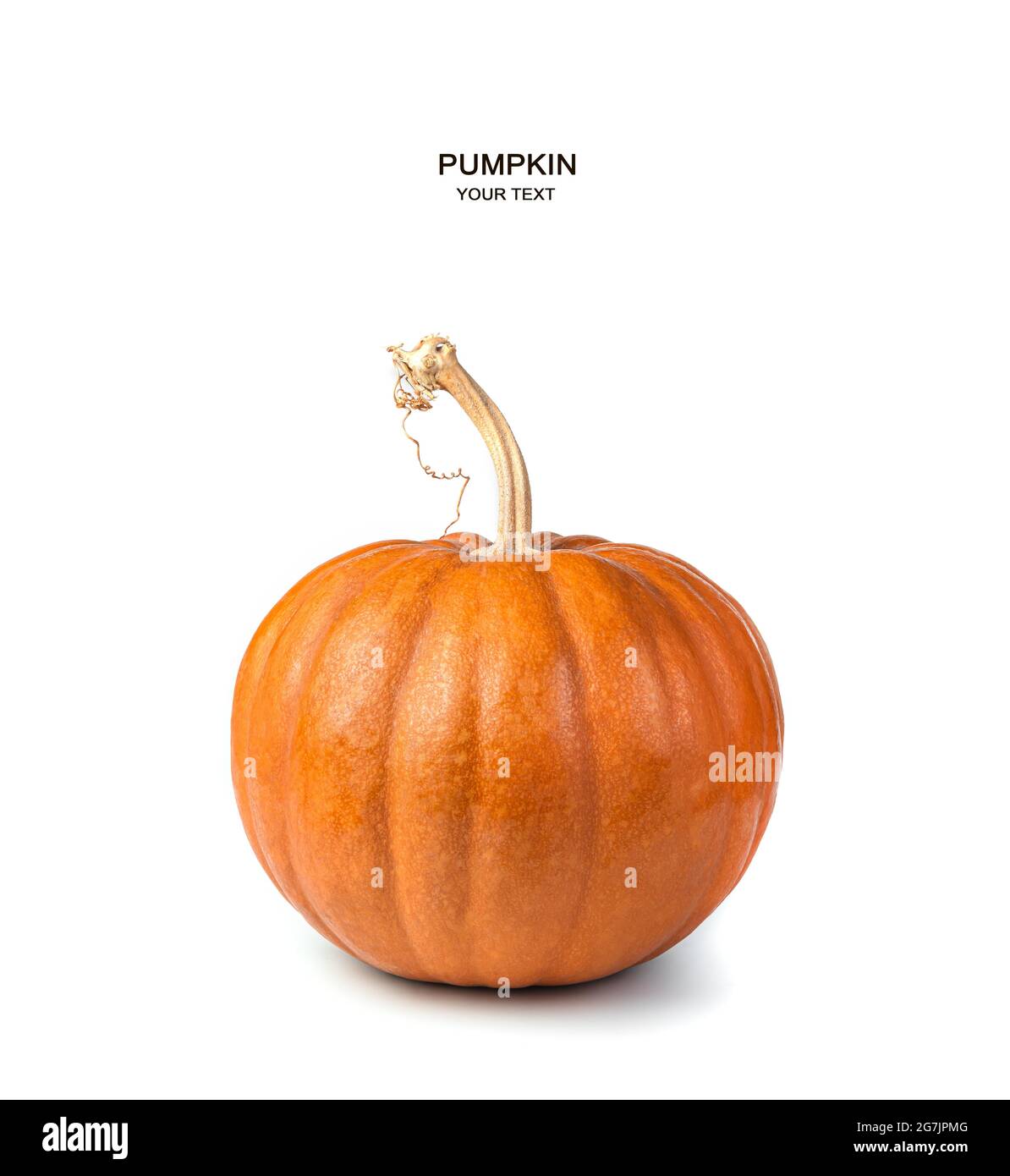Pumpkin with a dry stalk isolated on a white background Stock Photo - Alamy
