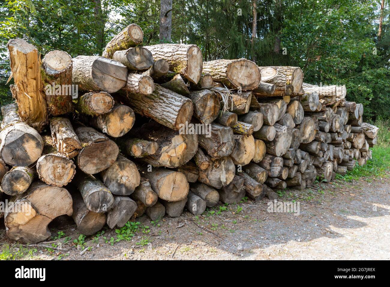 Pile of chopped tree logs as firewood Stock Photo - Alamy