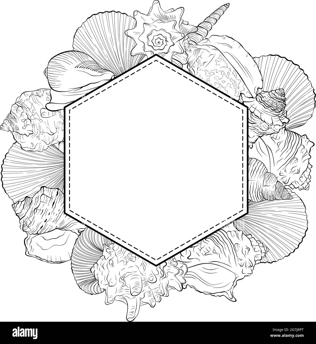 Polygonal shape frame from hand drawn sea shells Stock Vector Image ...