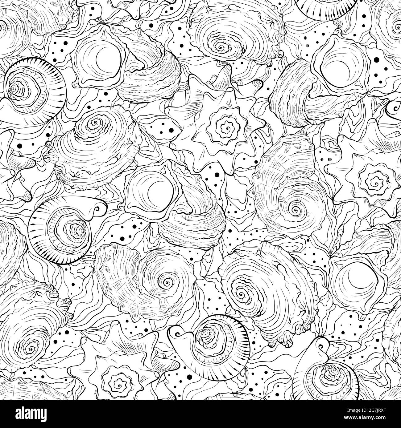 Spiked shells Stock Vector Images - Alamy