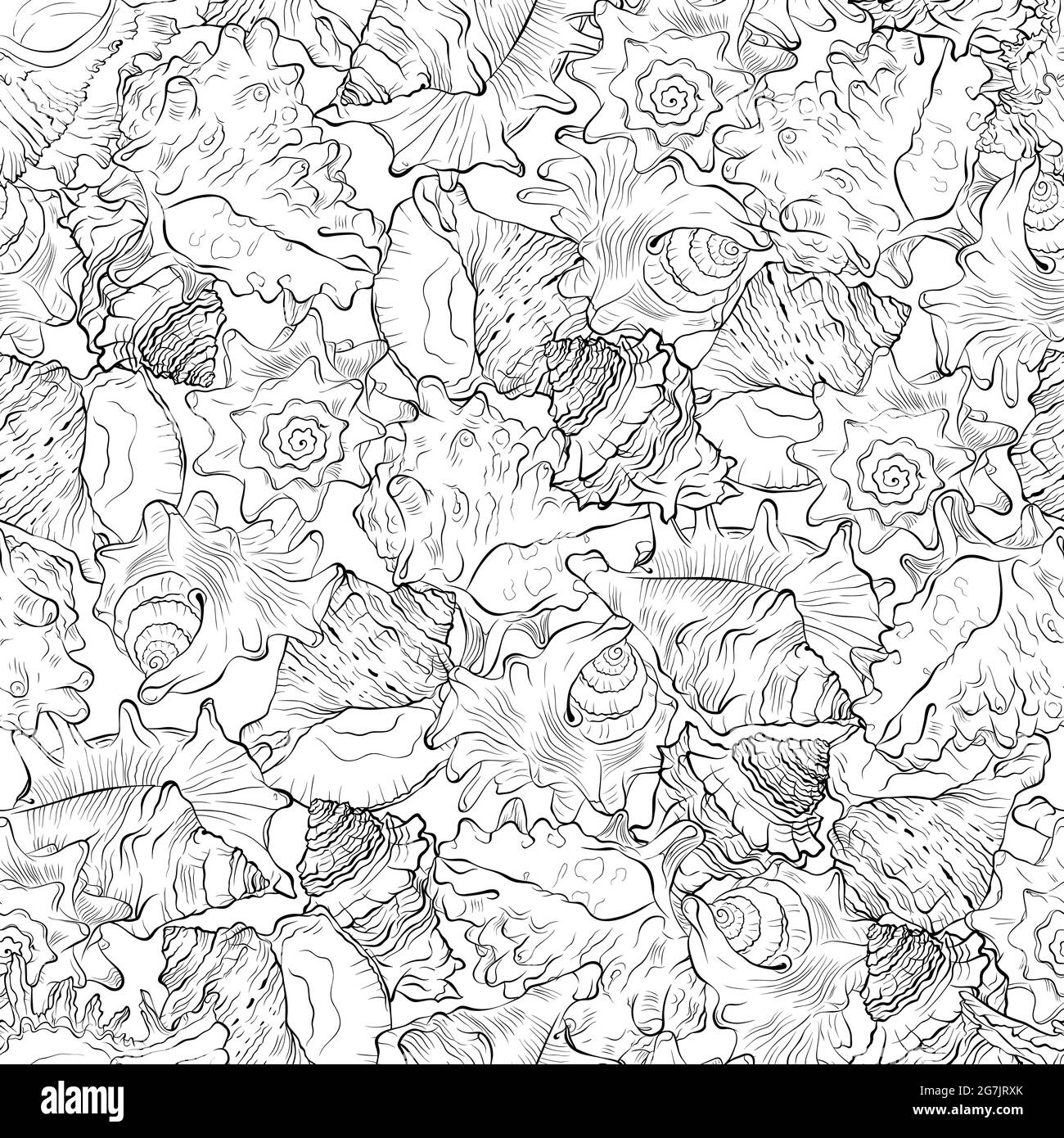 Spiked shells hi-res stock photography and images - Alamy