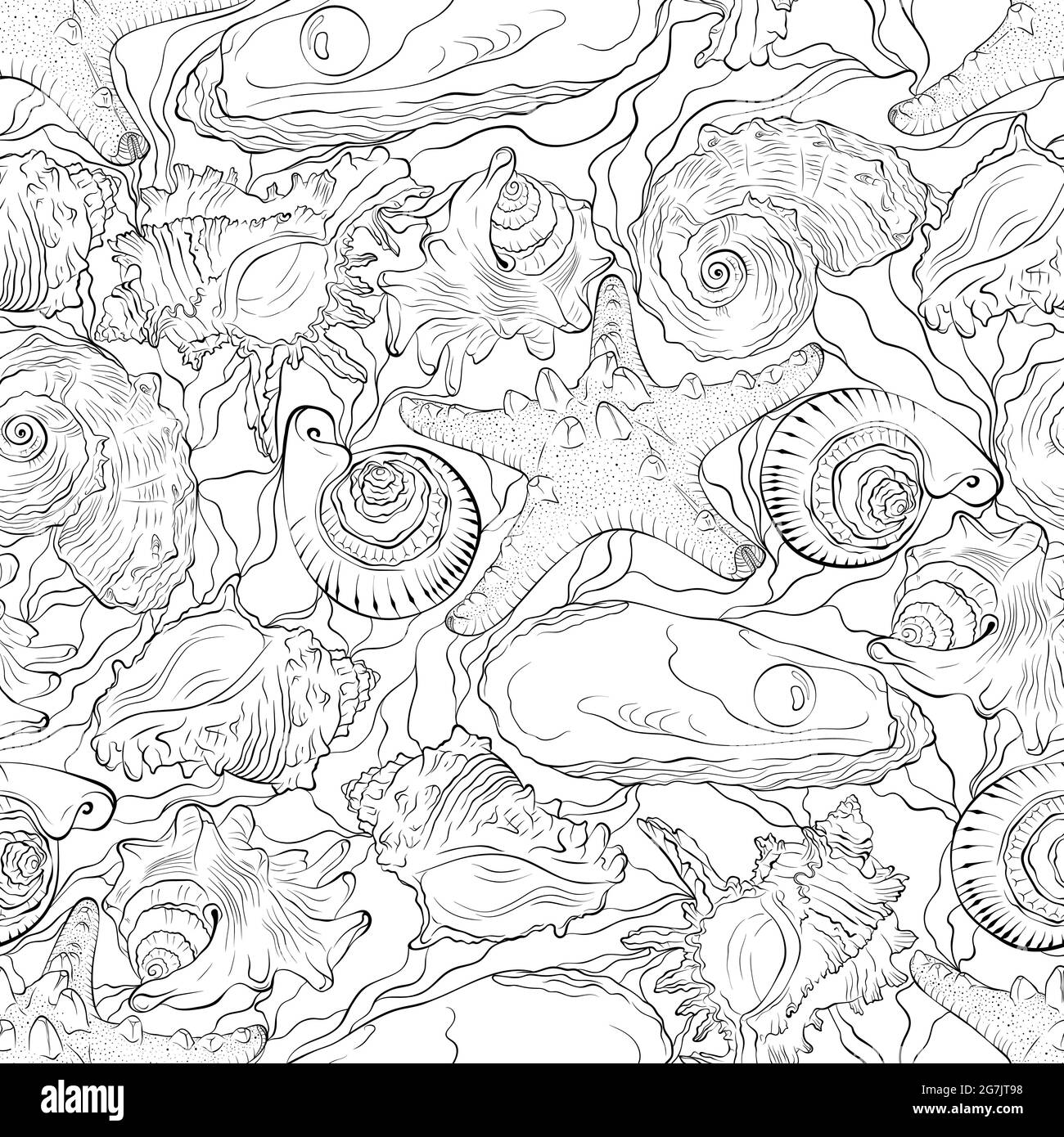 Marine seamless pattern from sea shells and starfish with waves Stock ...