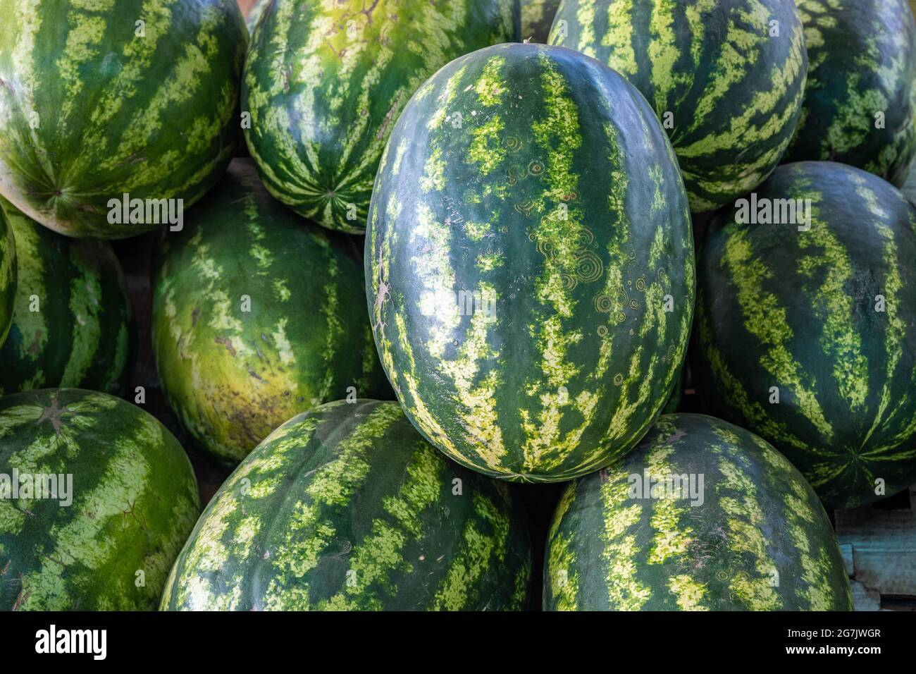 Heap watermelon farmers market hi-res stock photography and images - Alamy