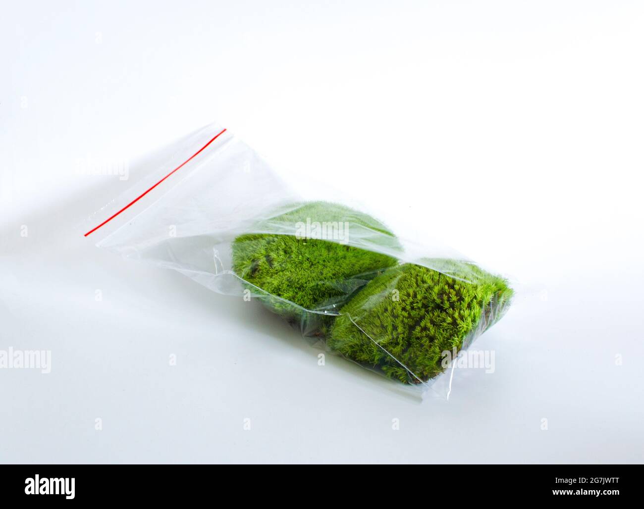 decorative moss in plastic bag isolated on white background. green ...